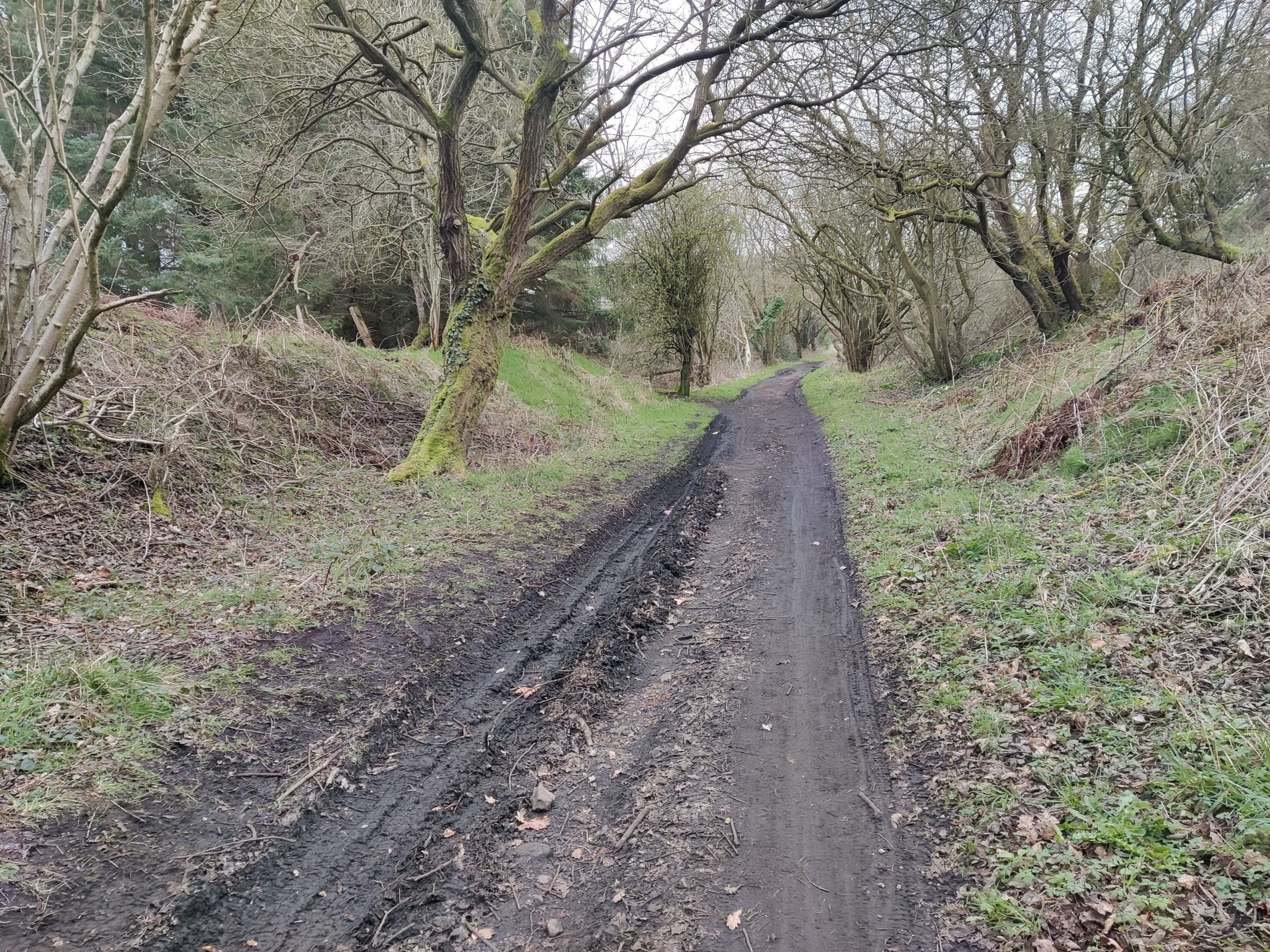 The Hayburn Wyke @ Cloughton - Yorkshire Pub Walks